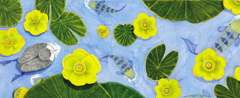 Little Loon Finds His Voice | Yvonne Pearson